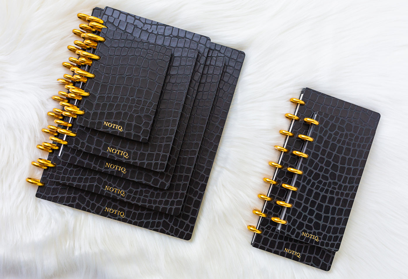 Discbound Planners | Disc Bound Planners | Disc Planners | NOTIQ